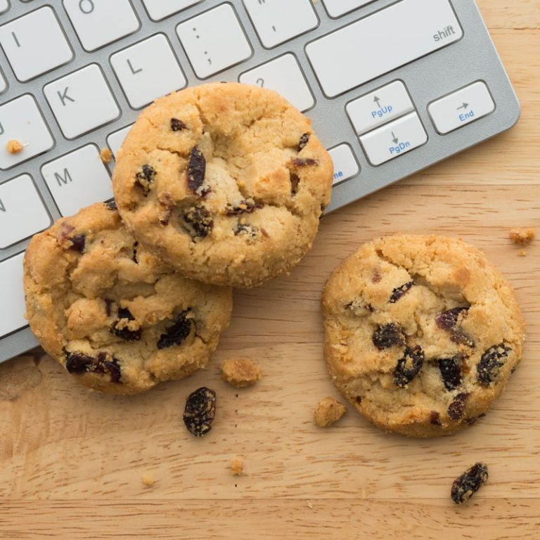 Internet Cookies - Sickly or Sweet? - Infotex